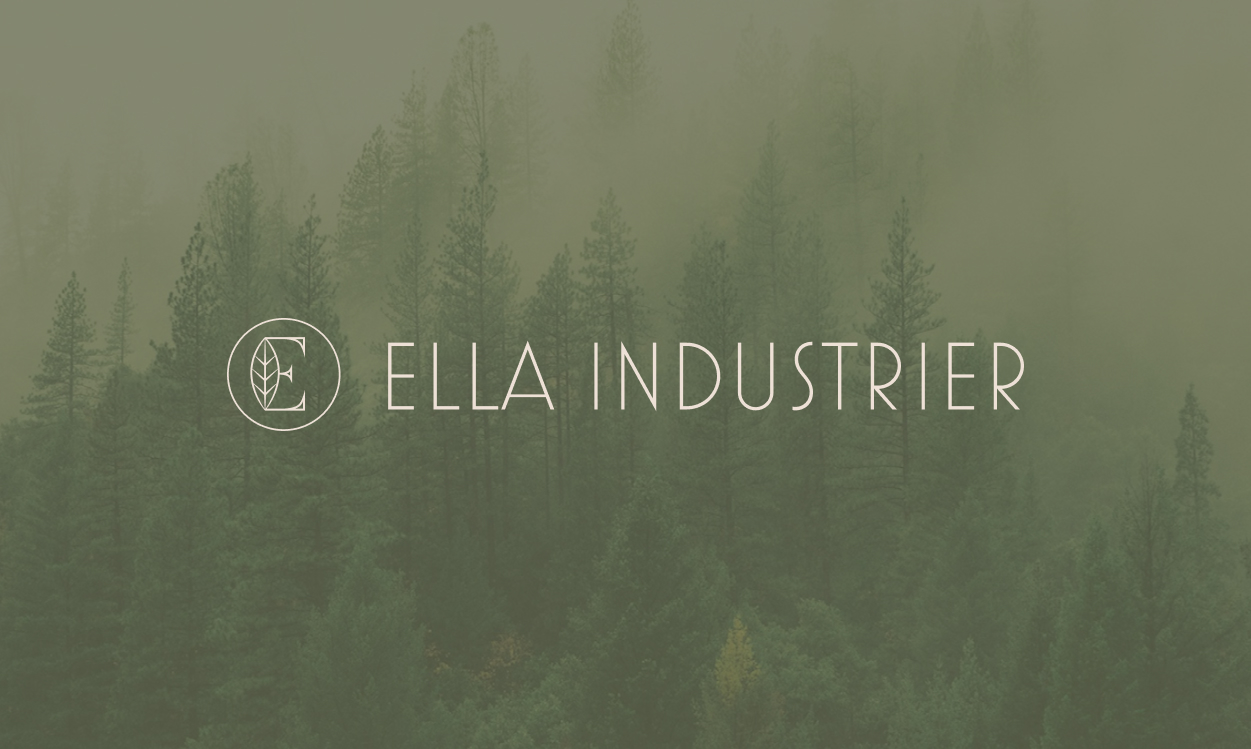 Ella Industrier • En engagerad investerare